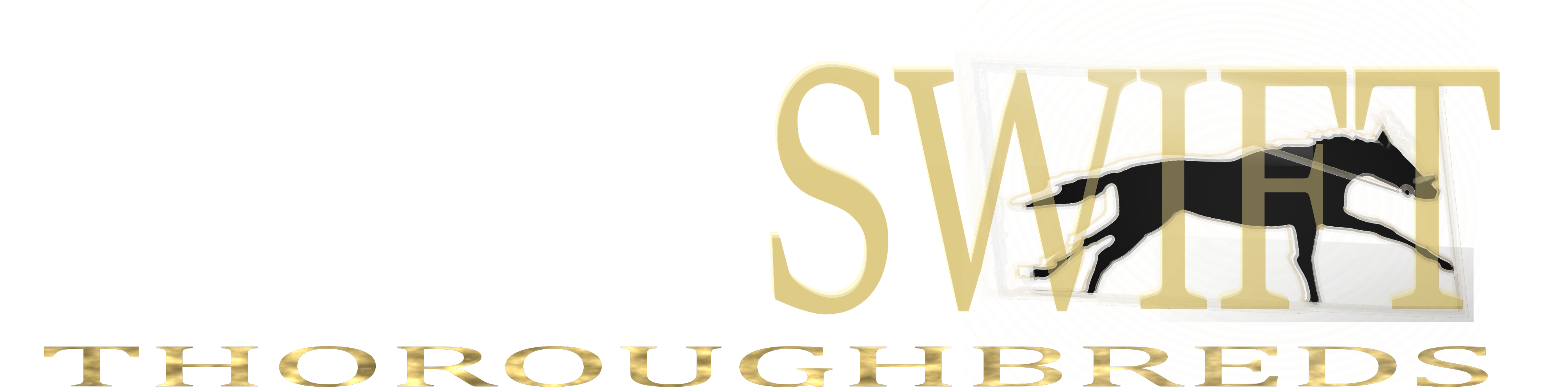 DreamSWIFT THOROUGHBREDS, RACEHORSE PARTNERSHIPS, RACEHORSE OWNERSHIP